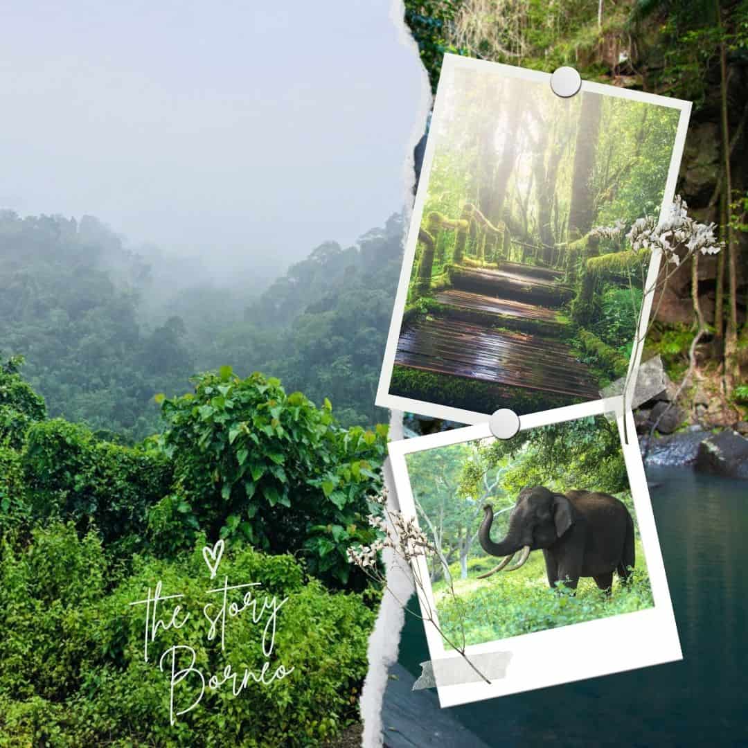 Ultimate Travel Guide Borneo Malaysia - Narcisa Rusu
