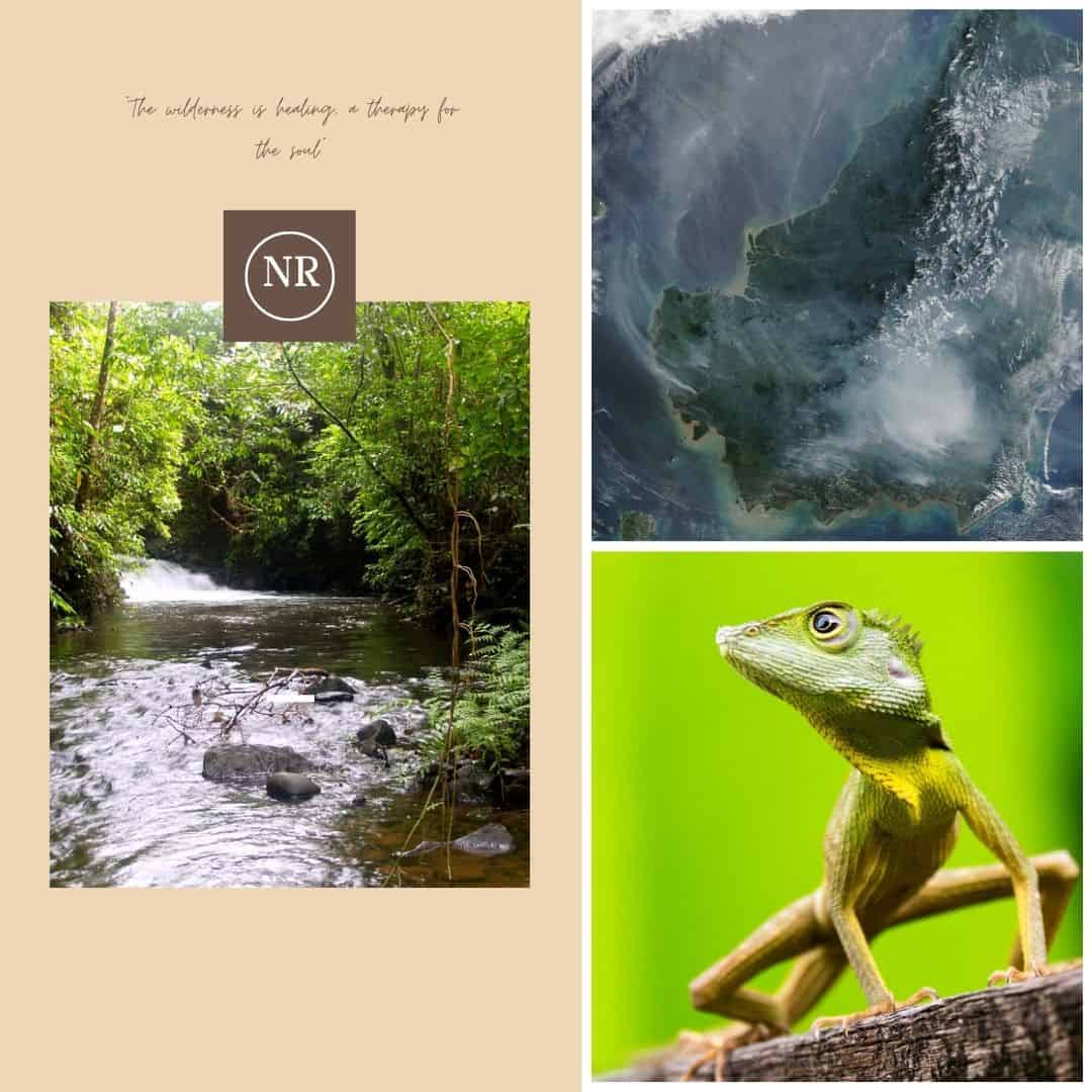 Ultimate Travel Guide Borneo Malaysia - Narcisa Rusu