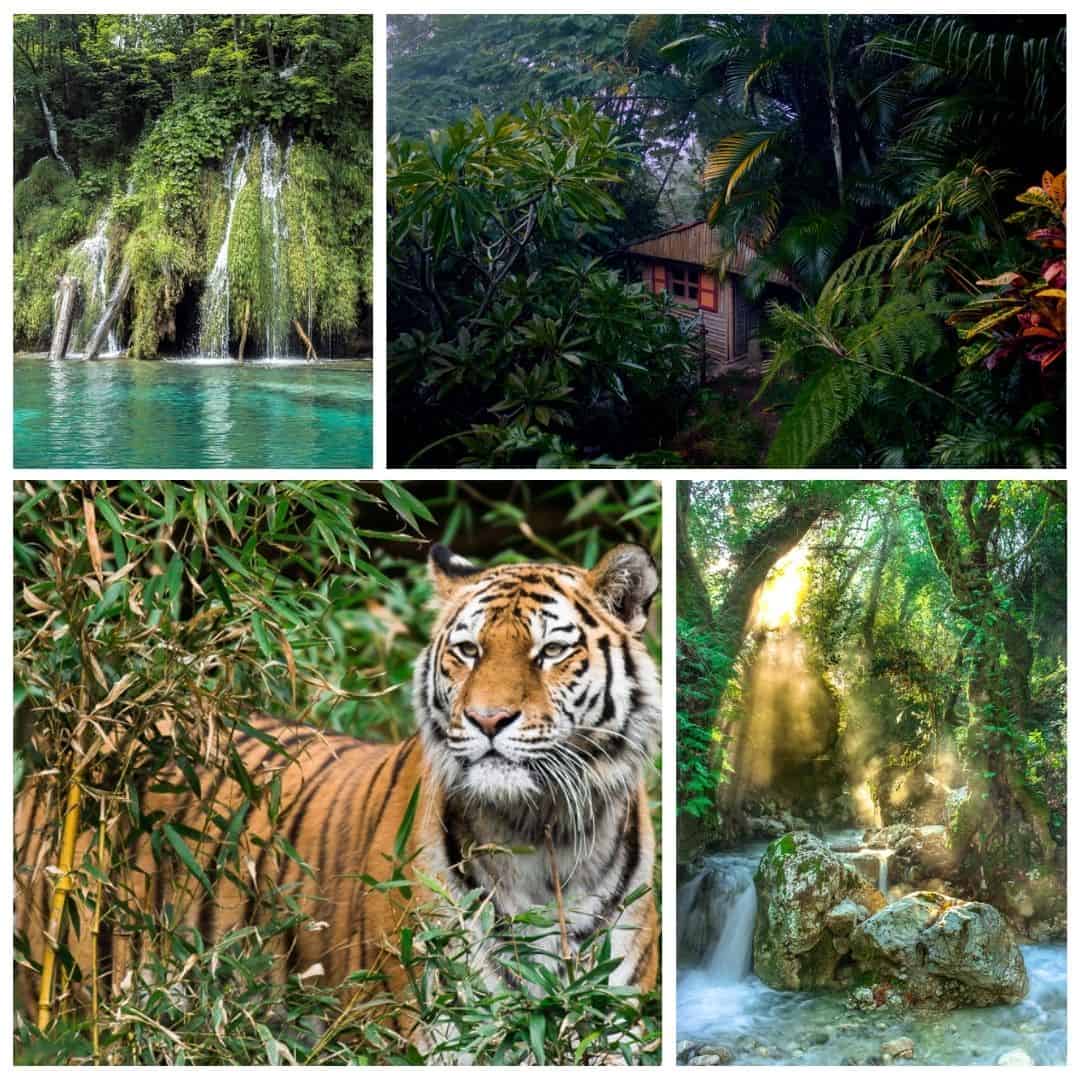 Ultimate Travel Guide Borneo Malaysia - Narcisa Rusu