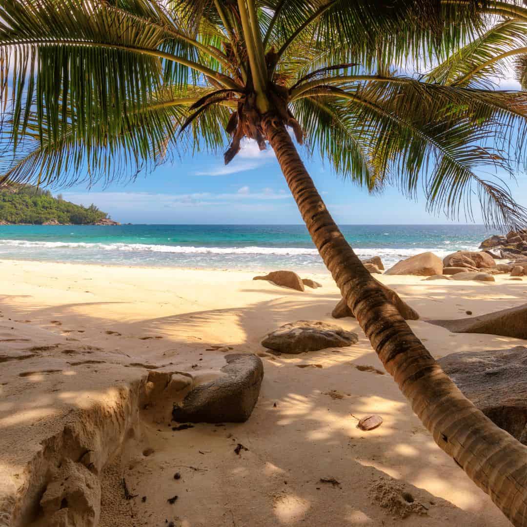 Where to Travel in January: The Best Beach Destinations to Start the ...