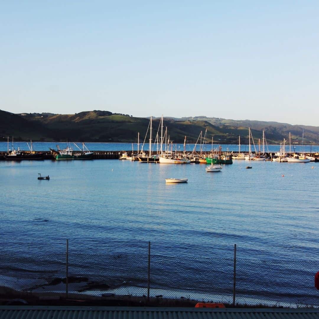 18 Unique & Amazing Things to Do in Apollo Bay - Rina Rusu