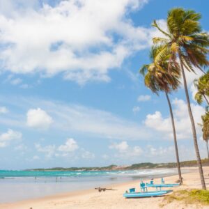 11 Unique & Fun Things to Do in Recife for Your Coastal Escape - Rina Rusu