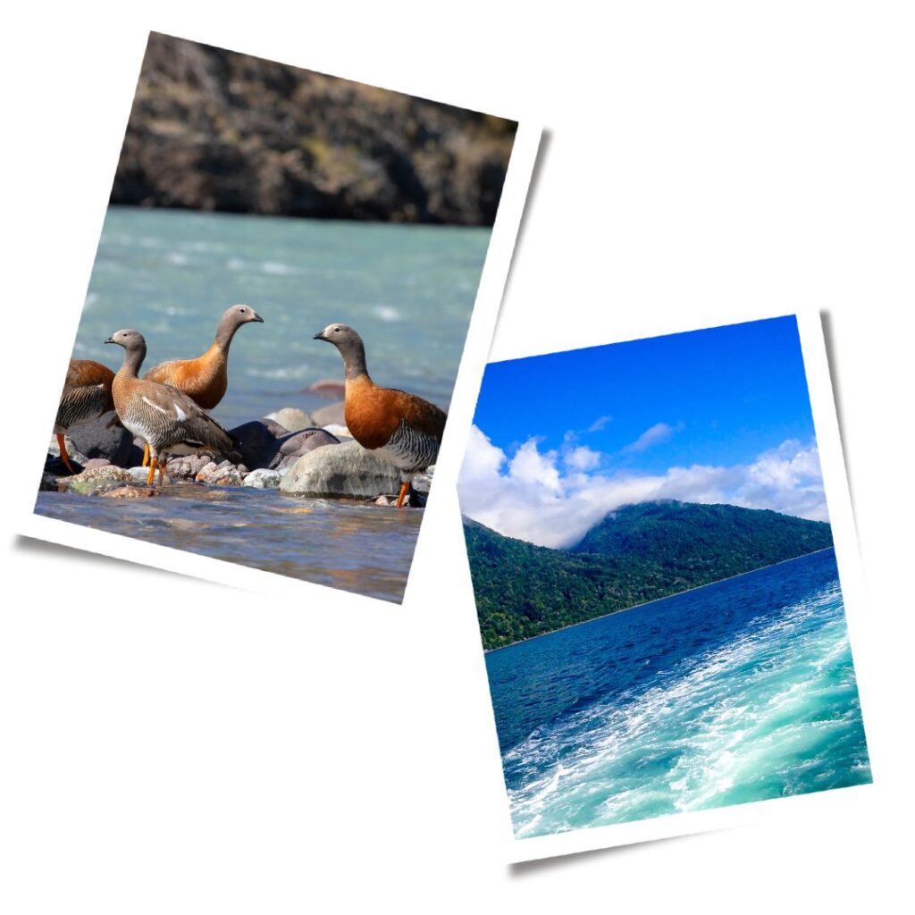 Bucket List Beach Town Rio Grande Patagonia - Narcisa Rusu