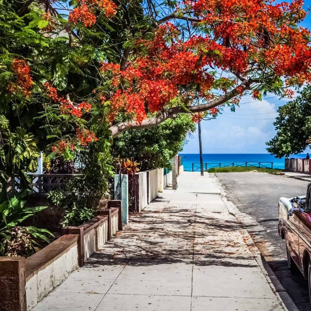 Best Landmarks In Varadero Beach Town - Narcisa Rusu