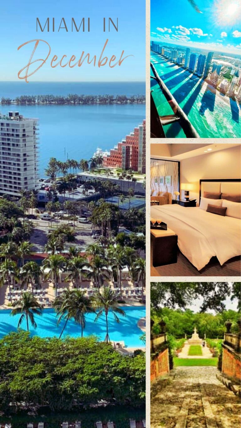 Miami in December: What to Do for a Warm & Stylish Winter - Rina Rusu