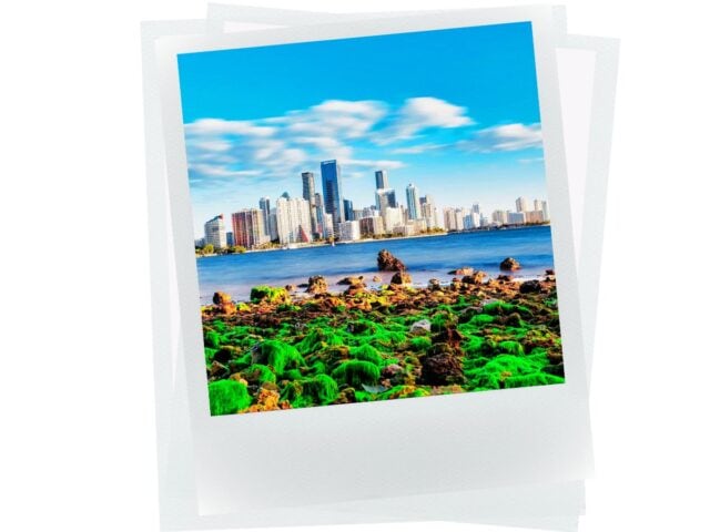 Miami in December: What to Do for a Warm & Stylish Winter - Rina Rusu