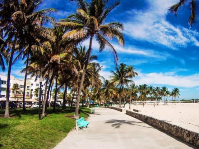 Is Miami Safe to Visit? A Woman’s Guide to Exploring Confidently - Rina ...
