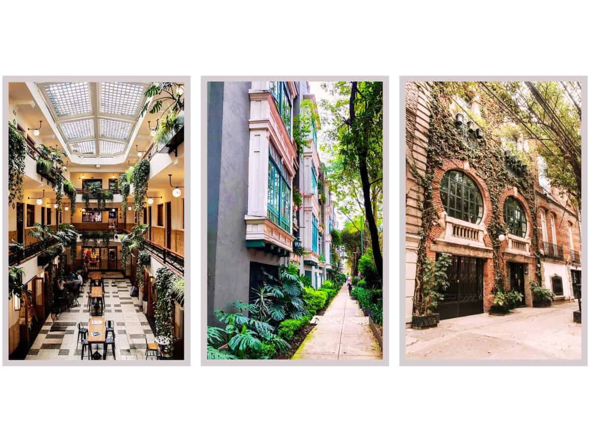 Is Mexico City Worth Visiting? 47 Reasons You’ll Love CDMX - Rina Rusu