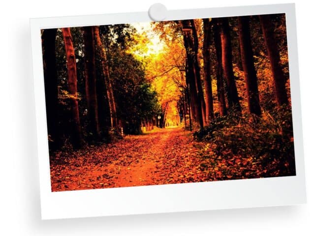 Mexico in October: The Ultimate Insider Travel Guide - Rina Rusu