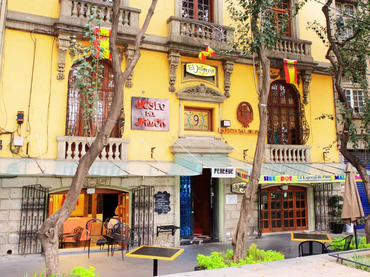 6 Boutique Hotels in Condesa Loved by Locals - Rina Rusu