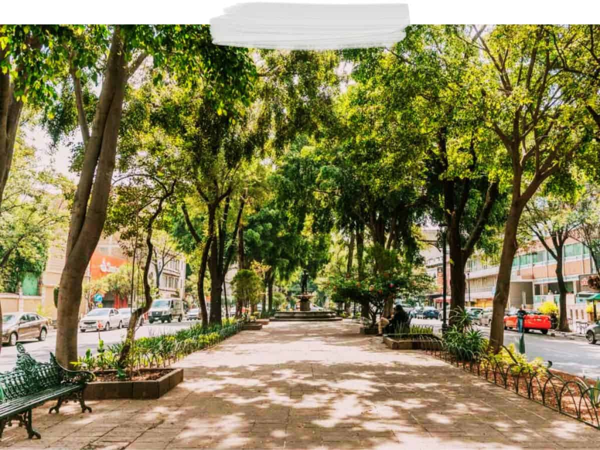 Mexico in October: The Ultimate Insider Travel Guide - Rina Rusu